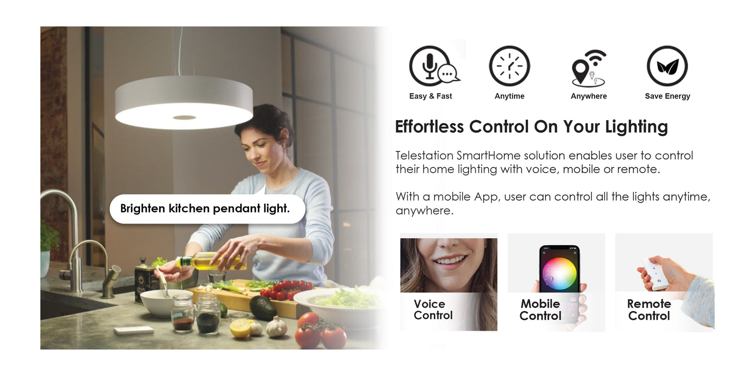 Smart Lighting Package – Telestation AI SmartHome